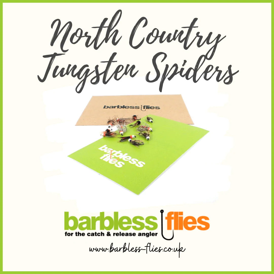 North Country Tungsten Spider | Barbless Flies