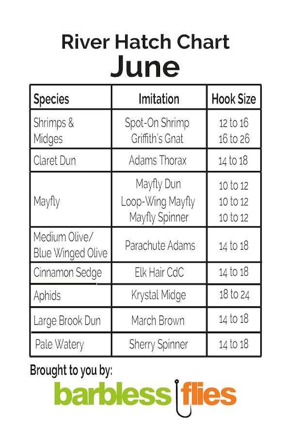 June Hatch Information for the British Isles – Barbless Flies