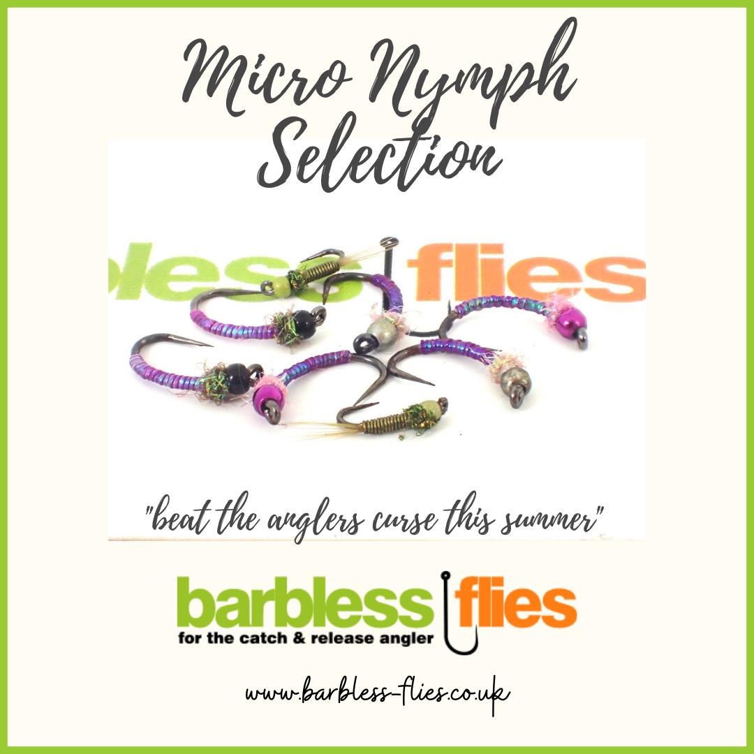 The Solution to Summer Fishing - Go Small or Go Home – Barbless Flies