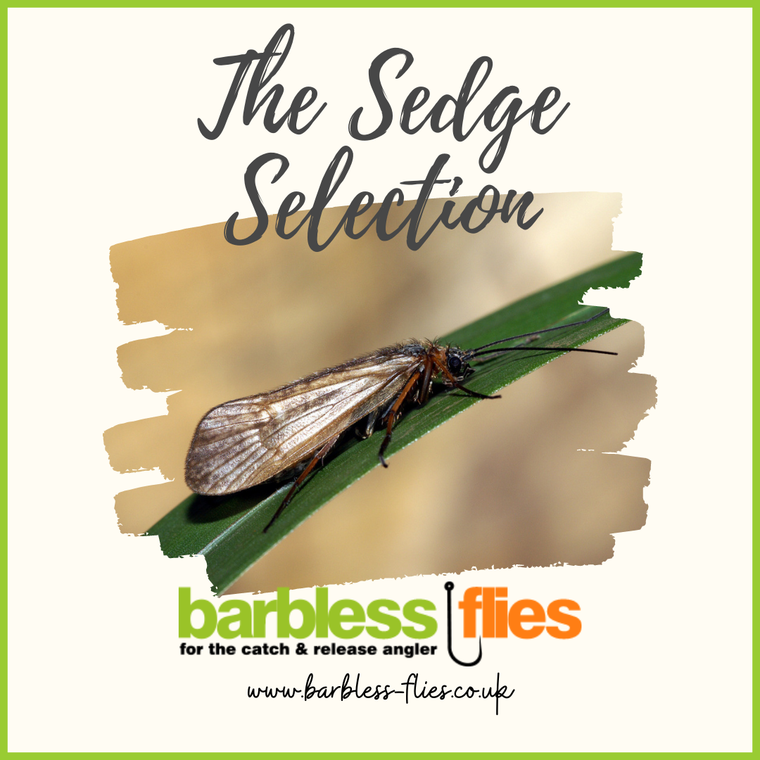 The Curious Case of the Cornish Consumables – Barbless Flies