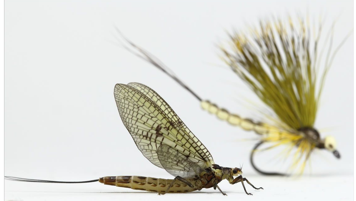 A Mayfly Amuse-Bouche - Just a Taster of Our NEW Mayflies Patterns ...