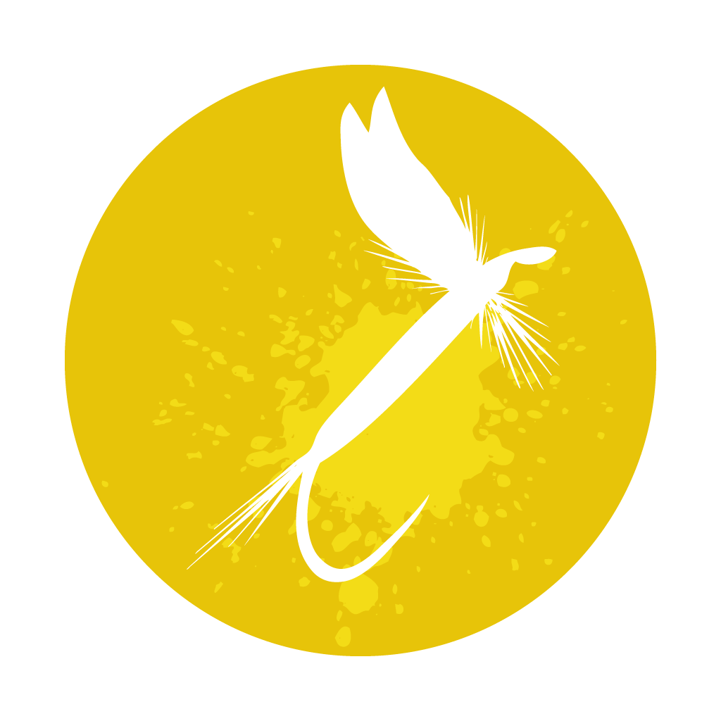 The Best October Flies for Fishing - Barbless Flies