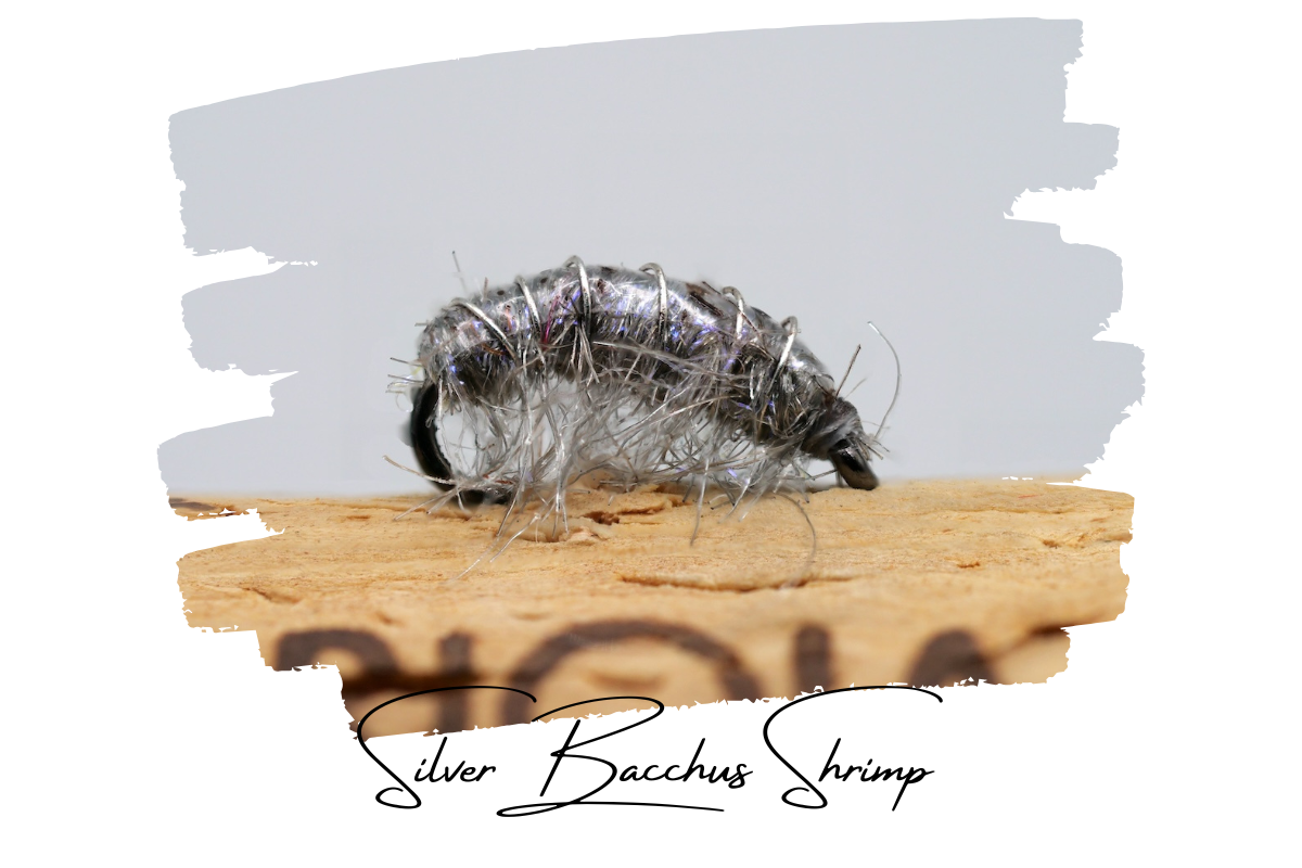 The Silver Bacchus Bug – Barbless Flies