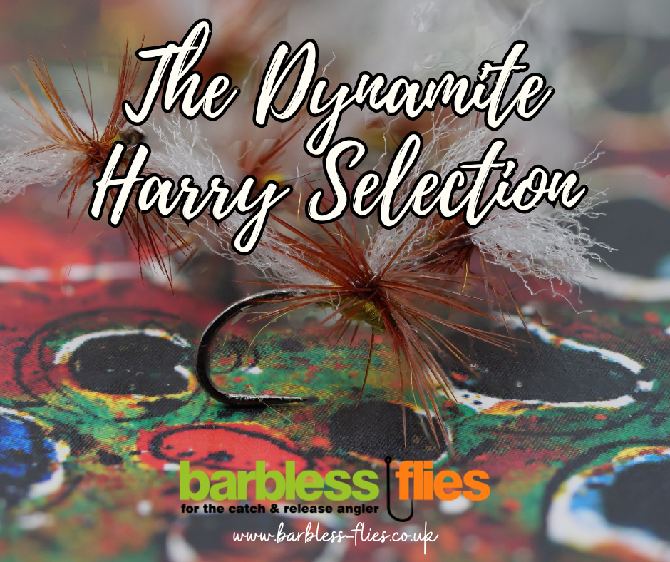 Bosnian 'Secret' Summer Olive Selection - from Barbless Flies