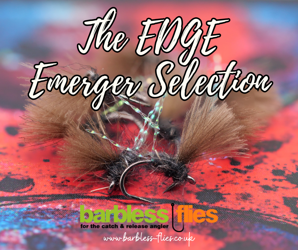 The Rolls Royce Caddis Selection - from Barbless Flies