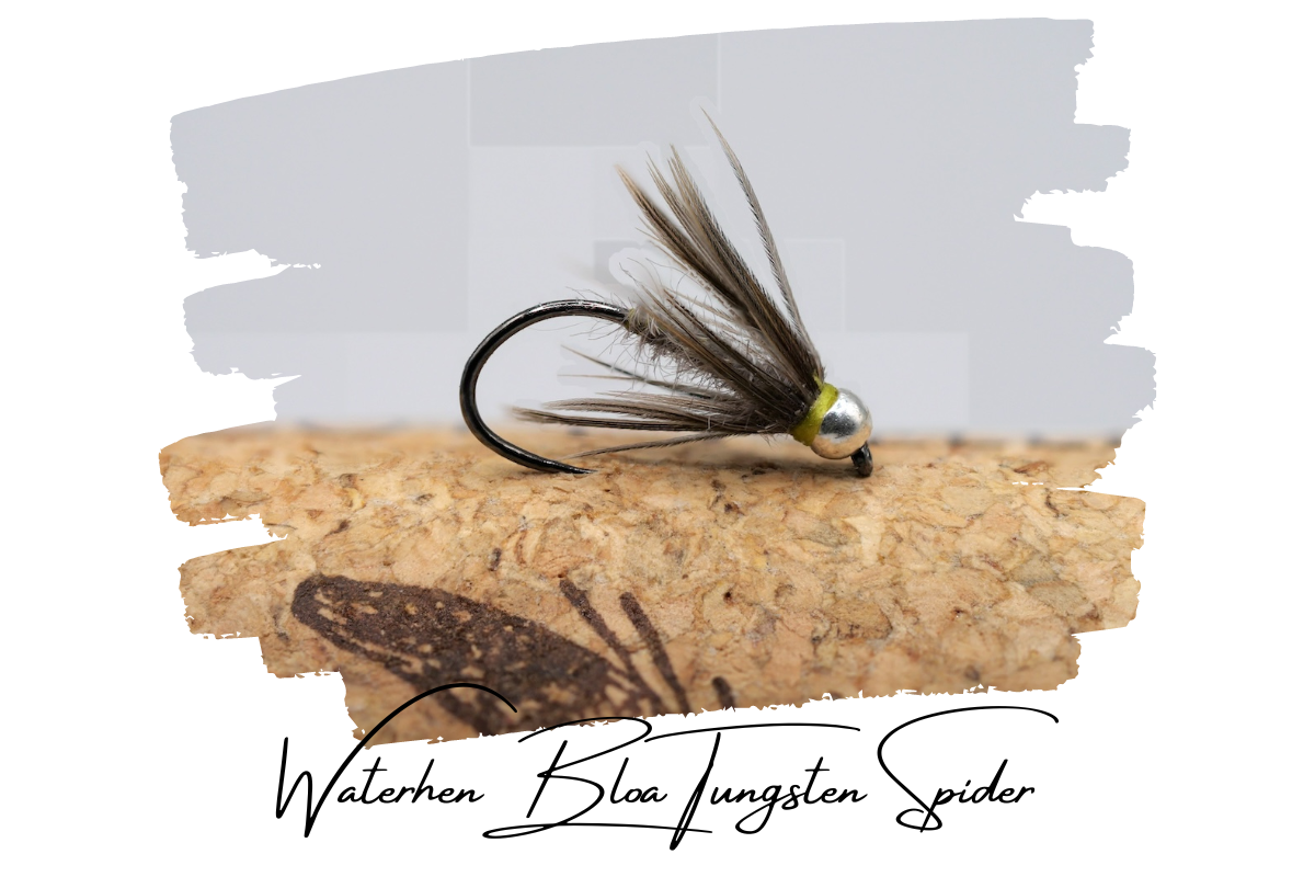 Waterhen Bloa Tungsten Spider – Barbless Flies